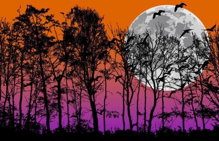Haunted Trail Walk - CACHE